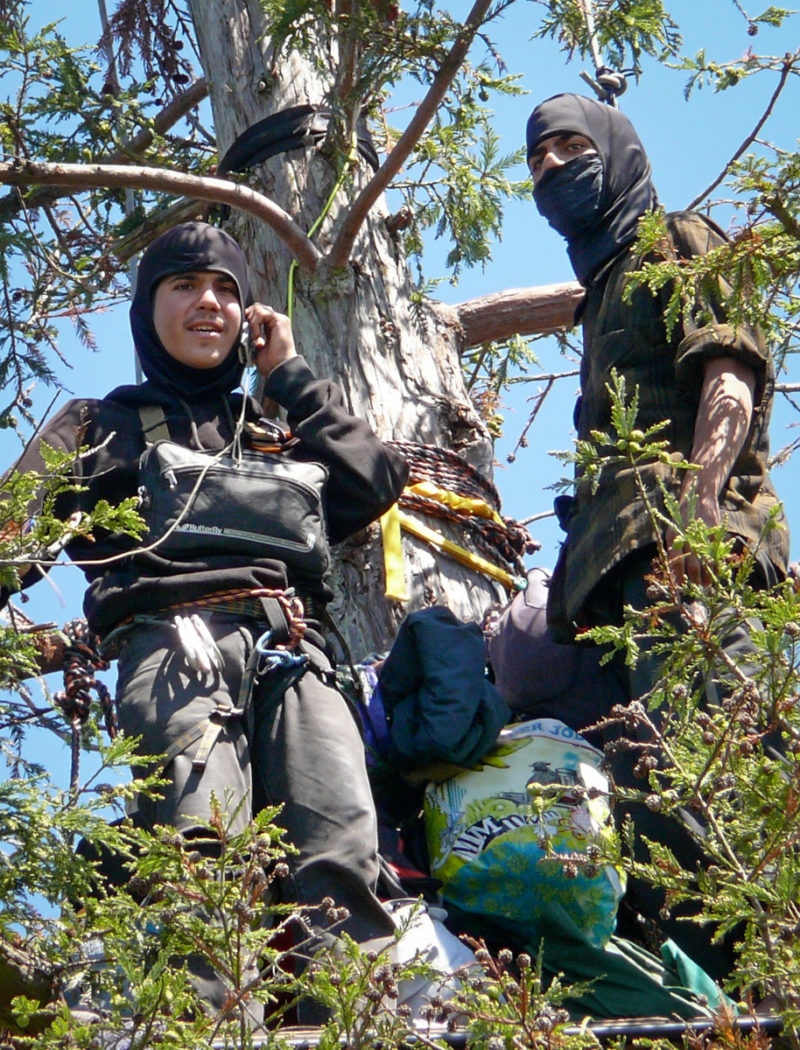 UC Berkeley Oak Tree Protest – 2008 – Ingrid Taylar Foto