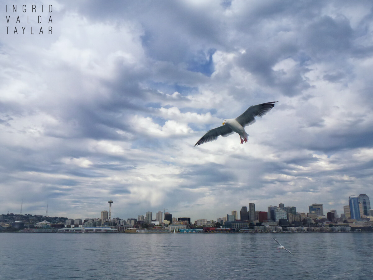 Seattle – Ingrid Taylar Foto